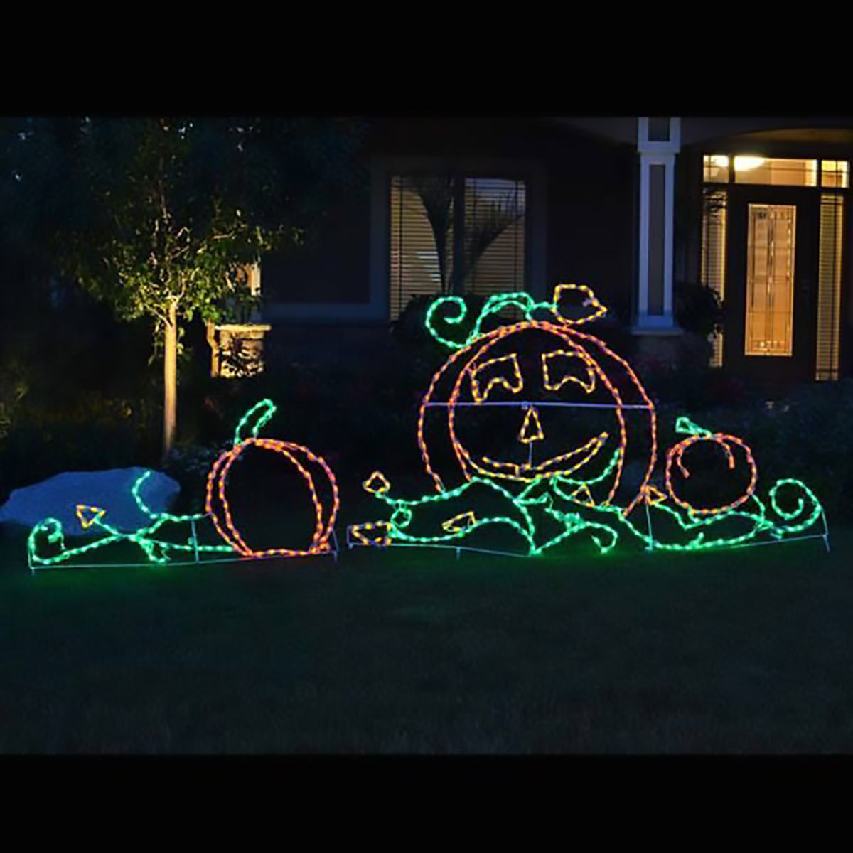LED Pumpkin Patch | Fall Festival Lighted Display